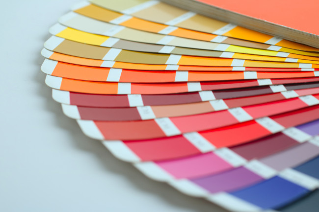 Choosing the Right Color and Finish for Your Internal House Painting ...